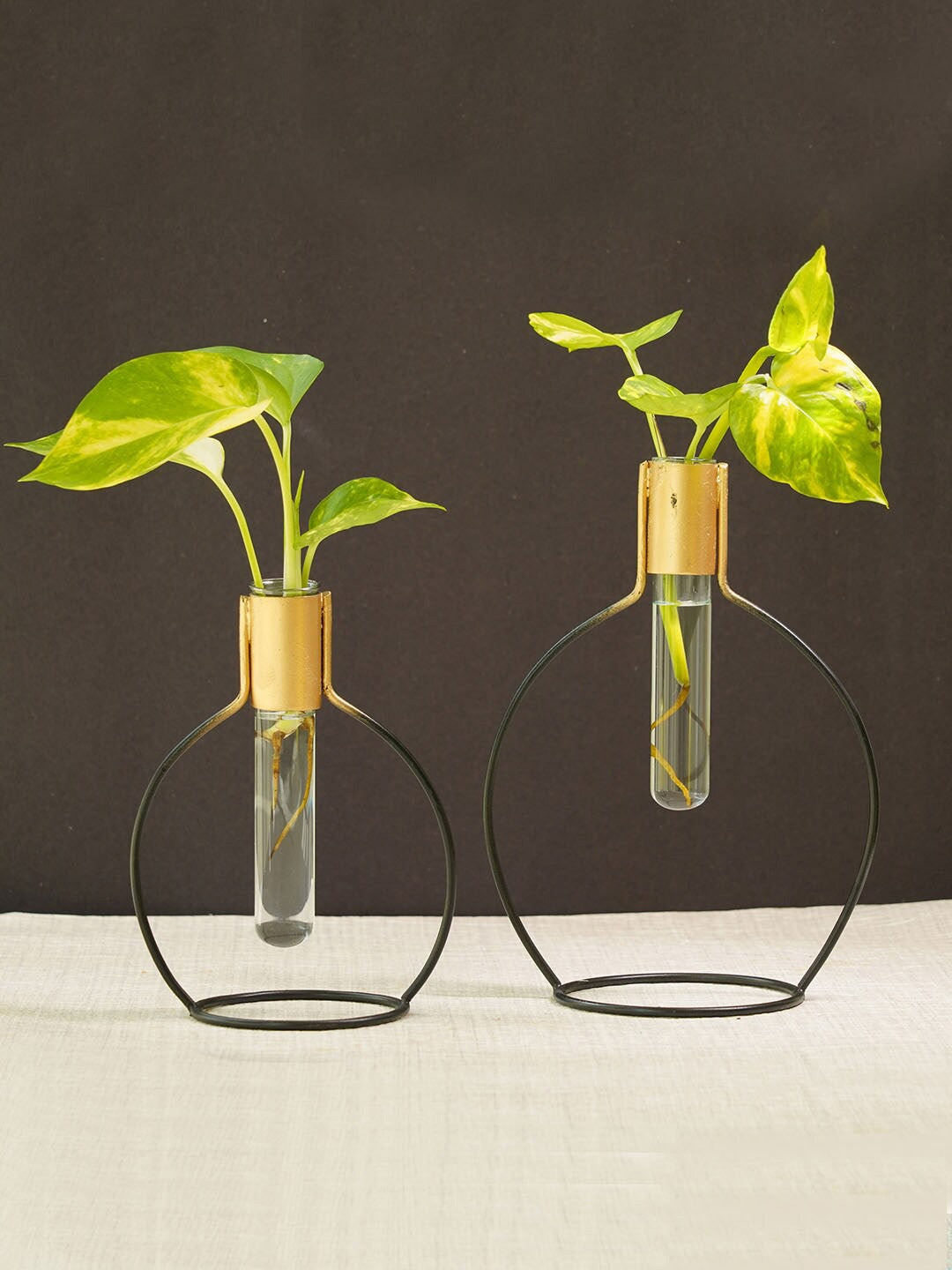 Buy | Test Tube Planters Set Of 2 | Tied Ribbons