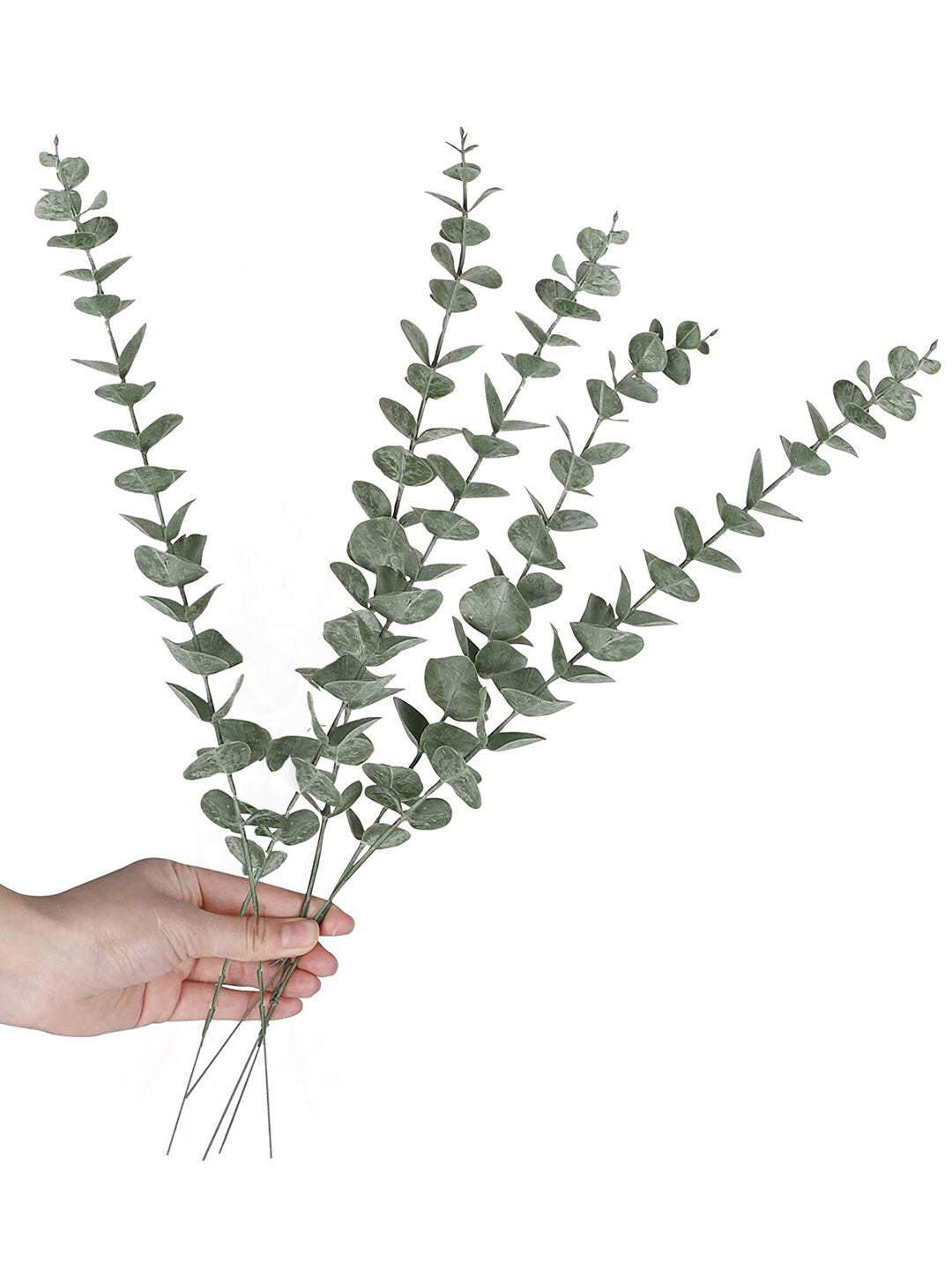Buy | Set of 5 Decorative Artificial Eucalyptus Flowers Leaves without Vase | Tied Ribbons